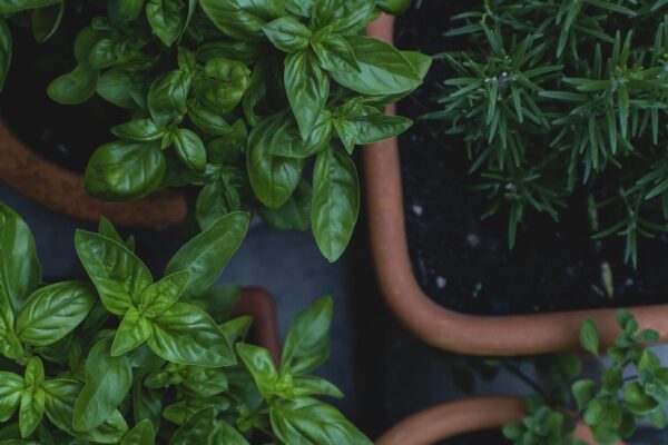 Arab American National Museum – Arab American History and Culture