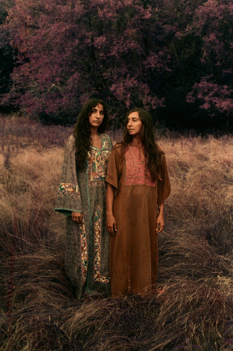 TERRANEA: hakawatia of the sea - Arab American National Museum