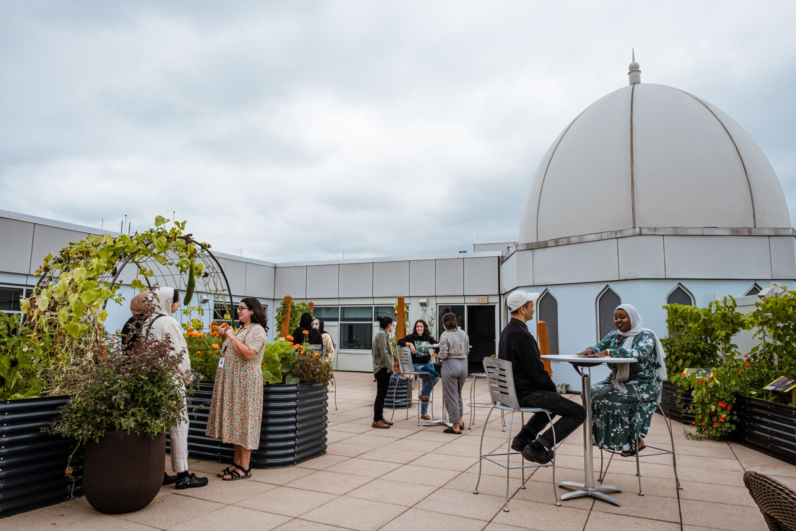 Al-Hadiqa: AANM Heritage Garden – Arab American National Museum