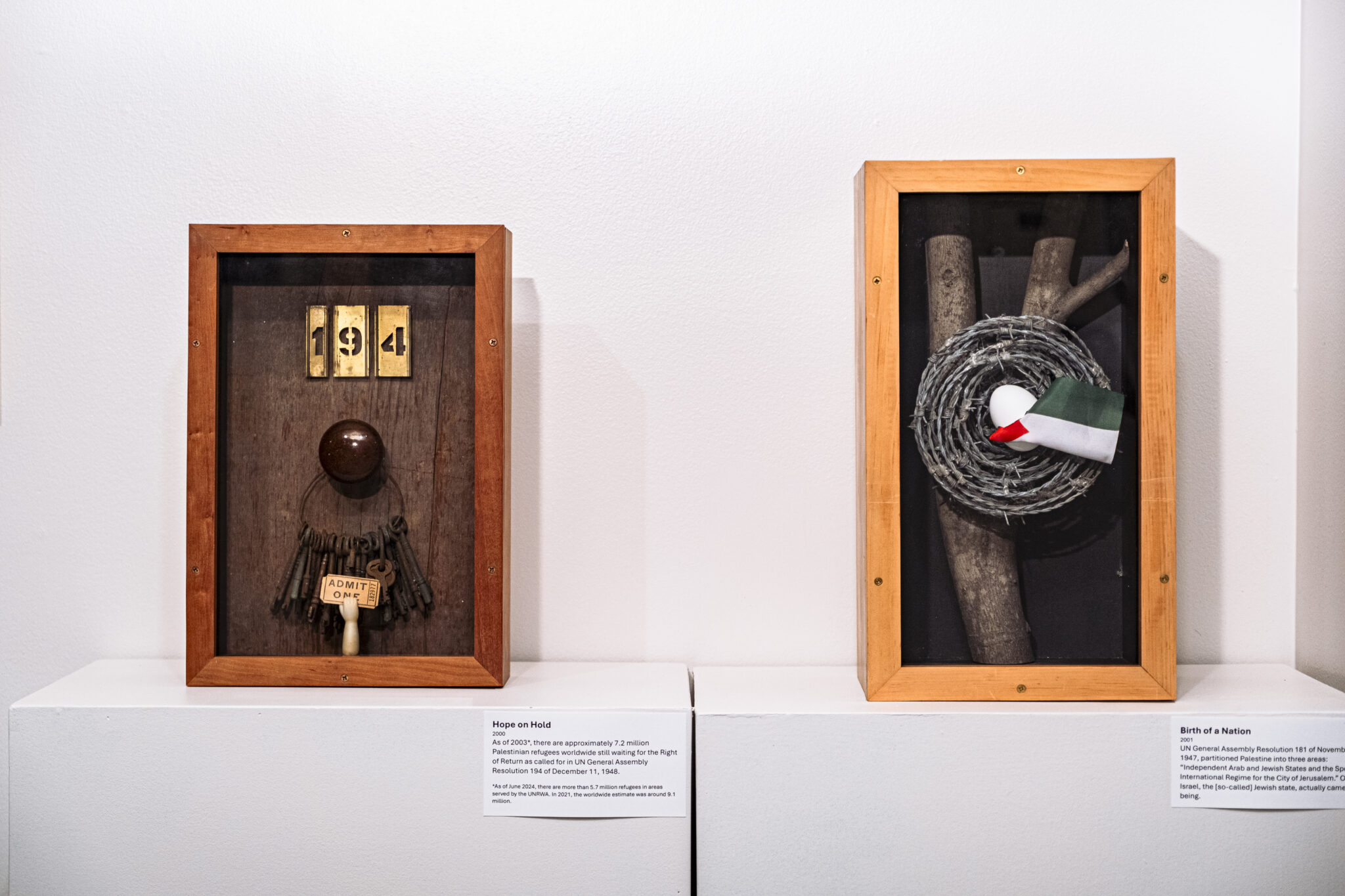 Waiting for Peace by Rajie Cook - Arab American National Museum